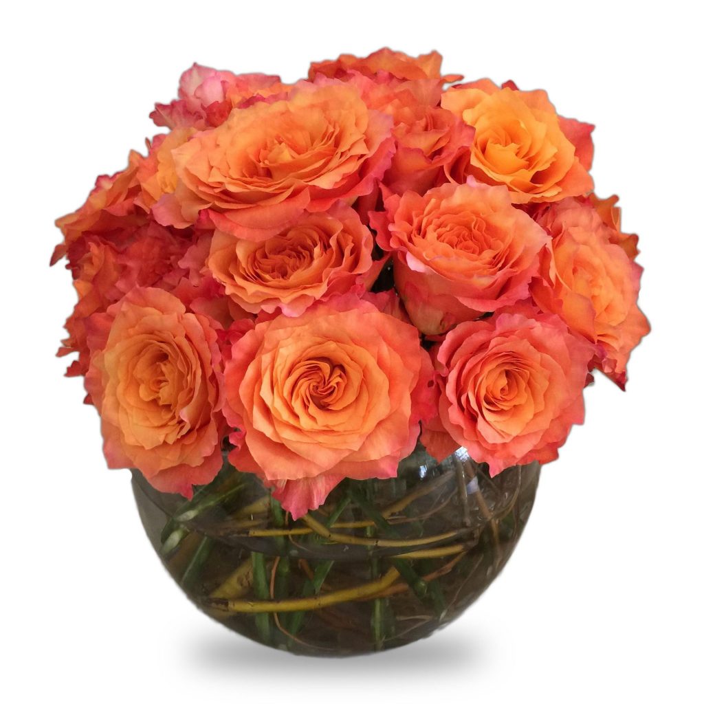 Large Rose Bowl